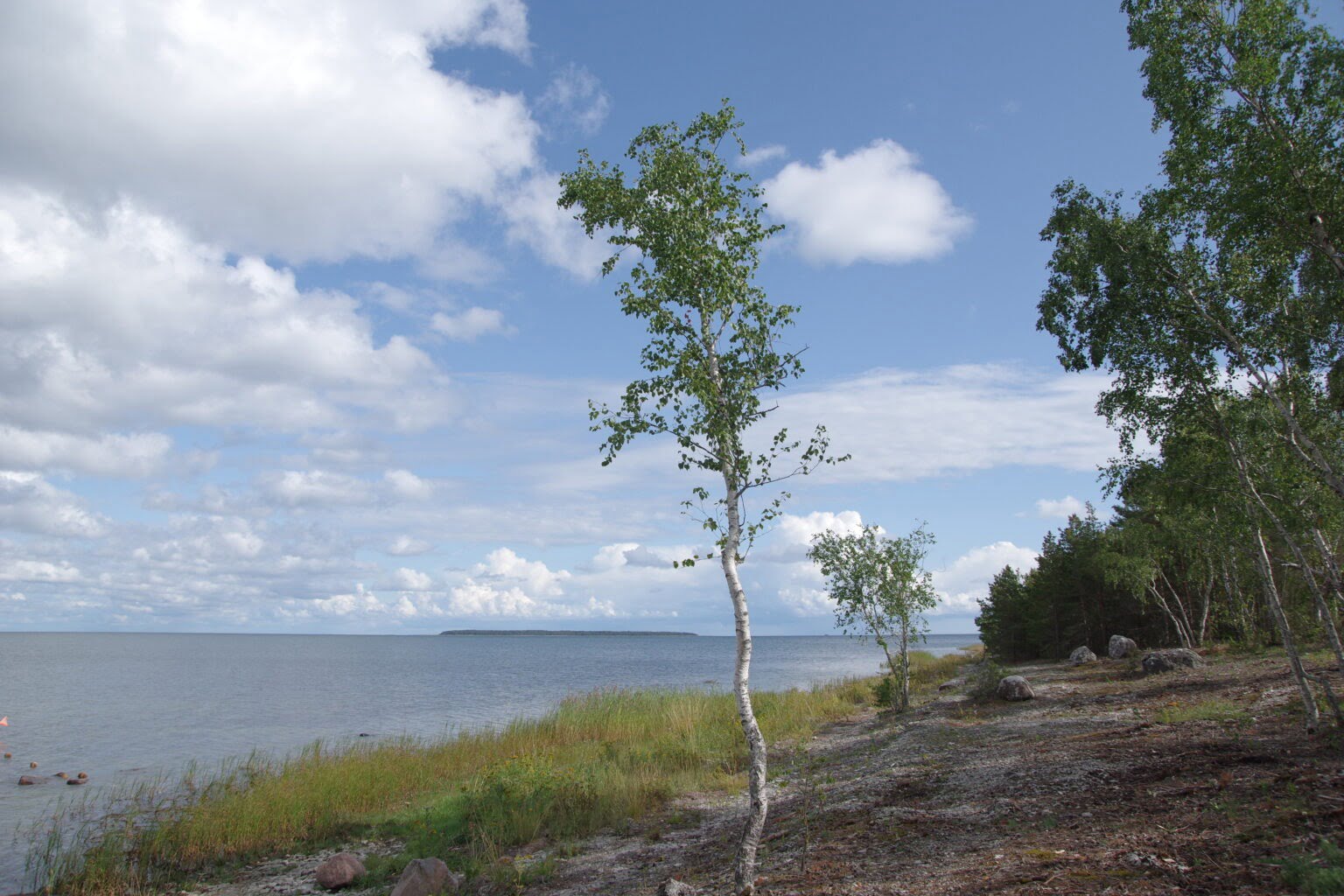 Huvitavaid fakte Archives - Looduskiiker