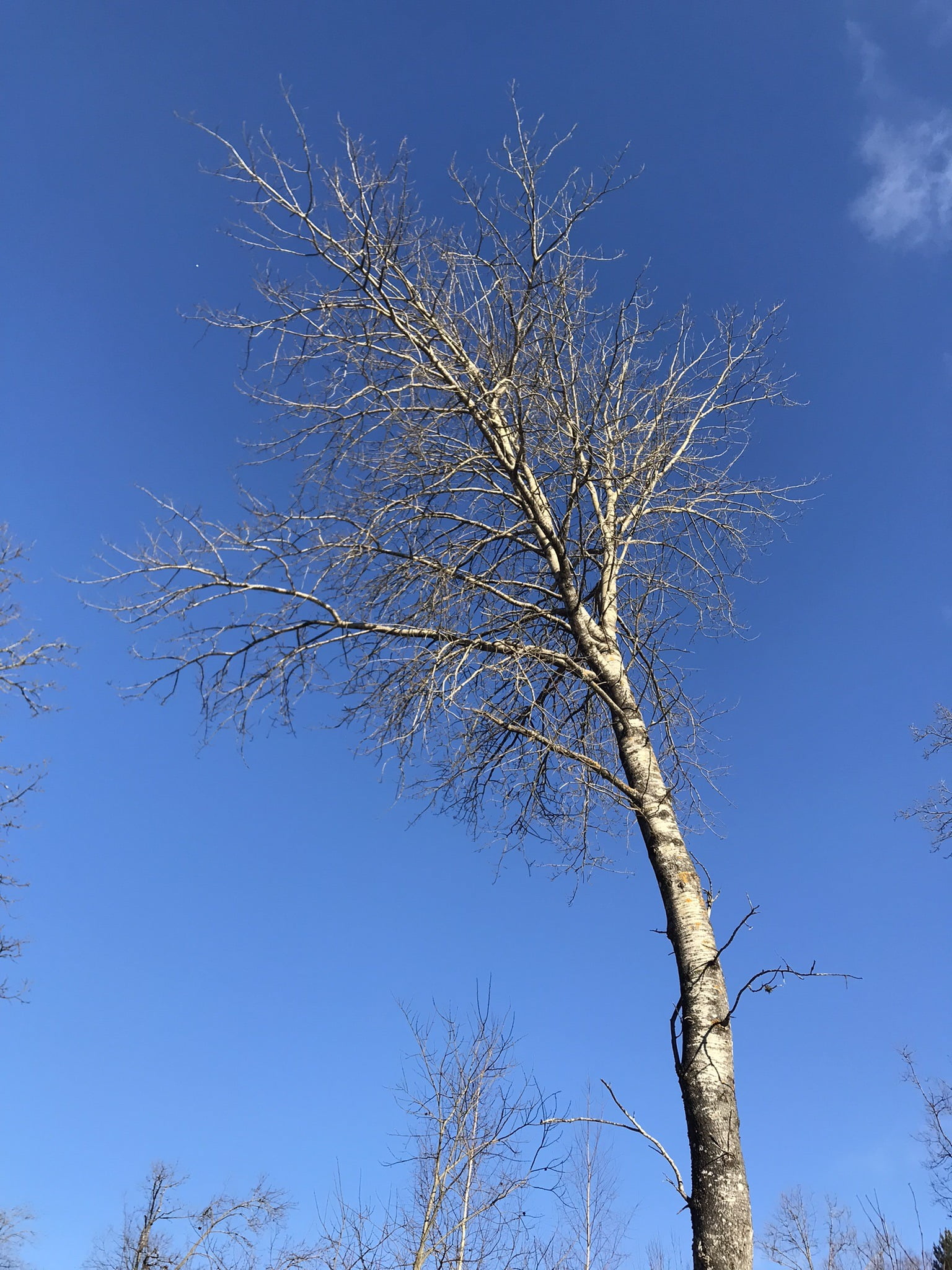 Huvitavaid fakte Archives - Looduskiiker