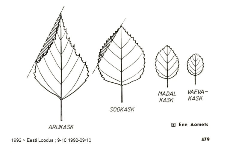 Huvitavaid fakte Archives - Looduskiiker